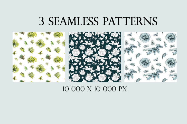 Watercolor Illustrations and Seamless Patterns with Lichens on the Surface - MasterBundles
