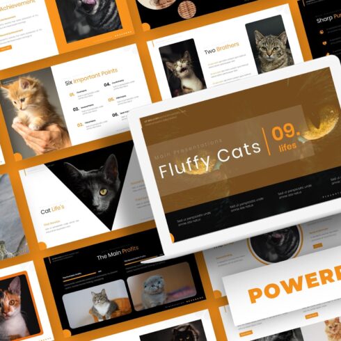 Fluffy Cat Powerpoint Template | Master Bundles