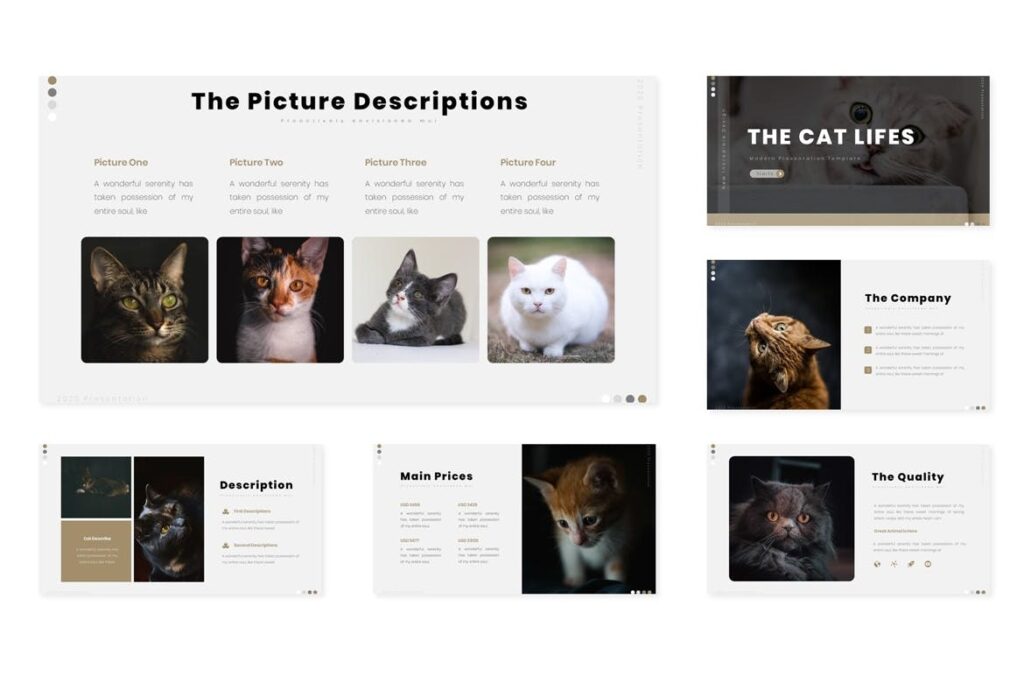 The Cat Lifes - Powerpoint Template – MasterBundles