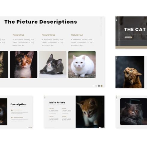 The Cat Lifes - Powerpoint Template | Master Bundles