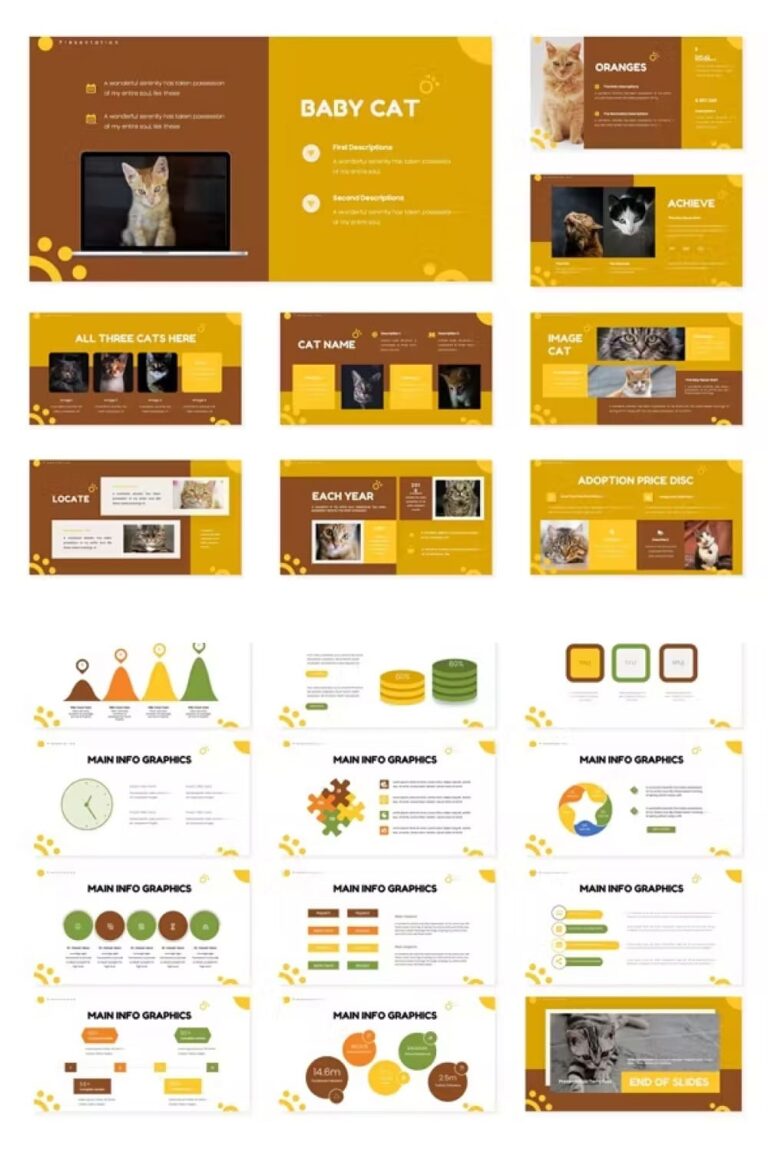 Adopt The Cat - Powerpoint Template – MasterBundles