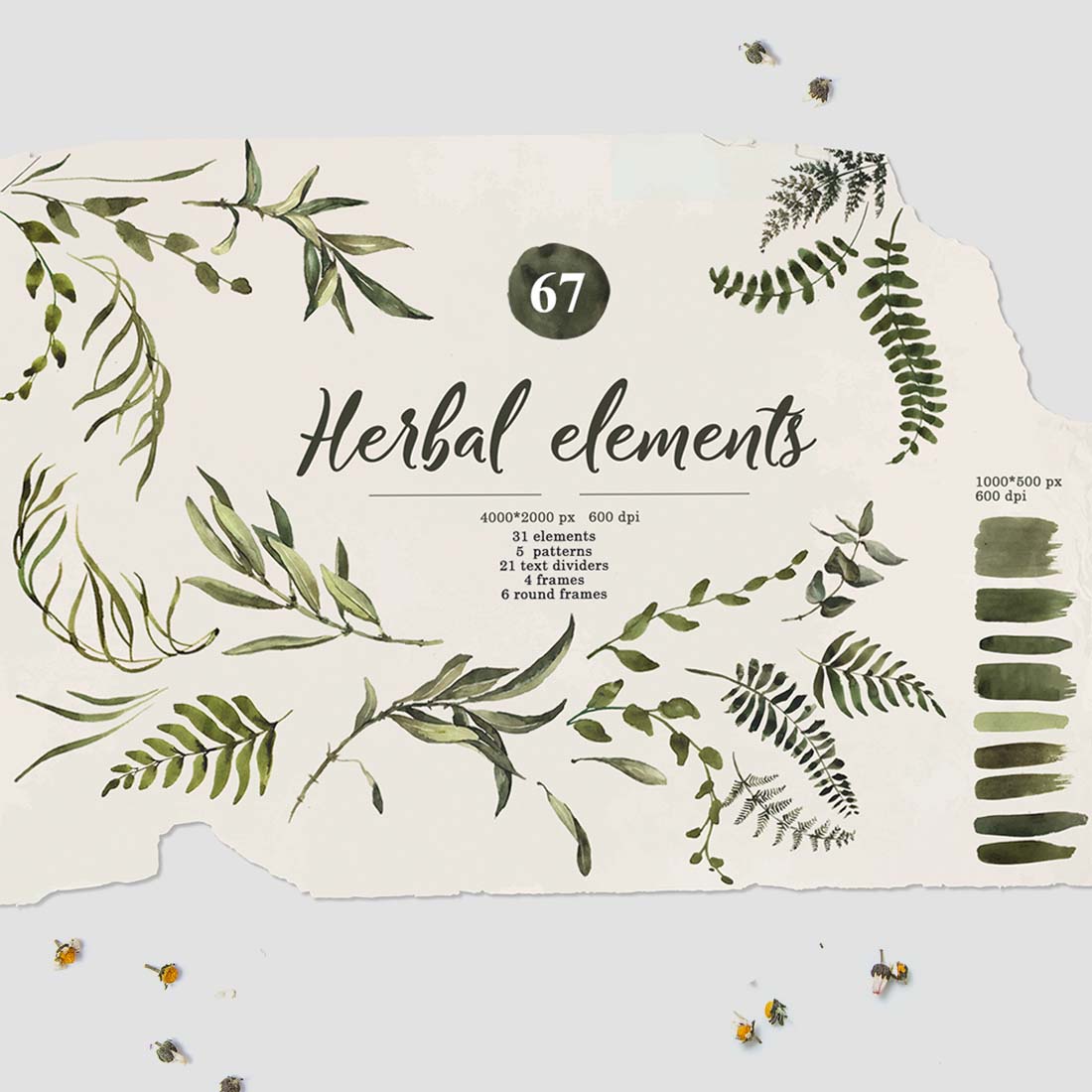 Watercolor Herbal Collection PNG - MasterBundles