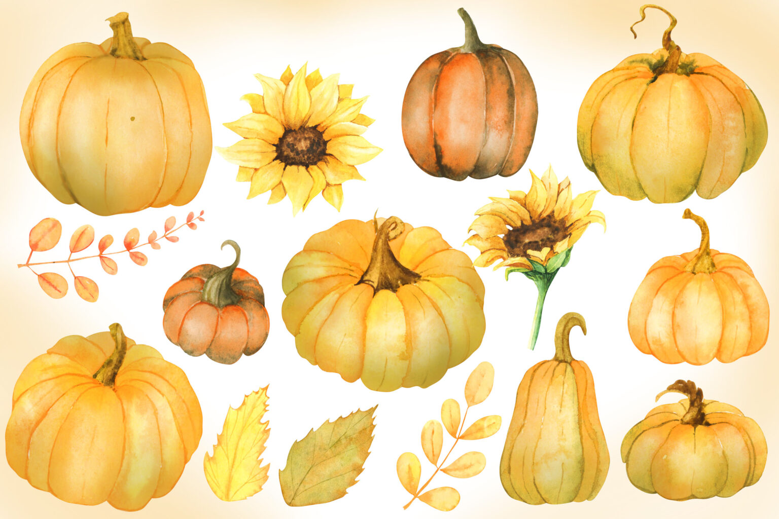Pumpkins autumn watercolor clipart | MasterBundles