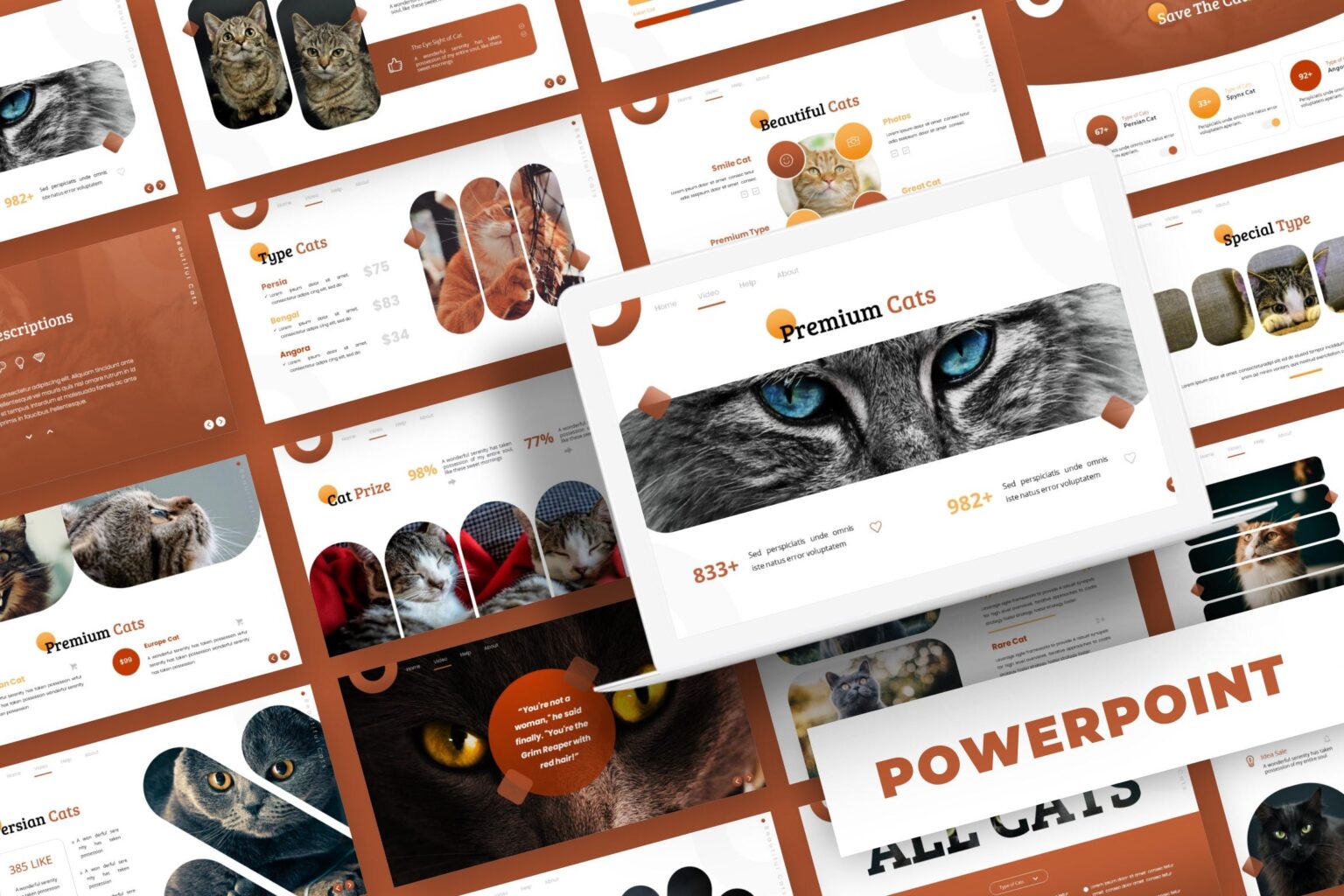 Cute Cat Powerpoint Template – MasterBundles