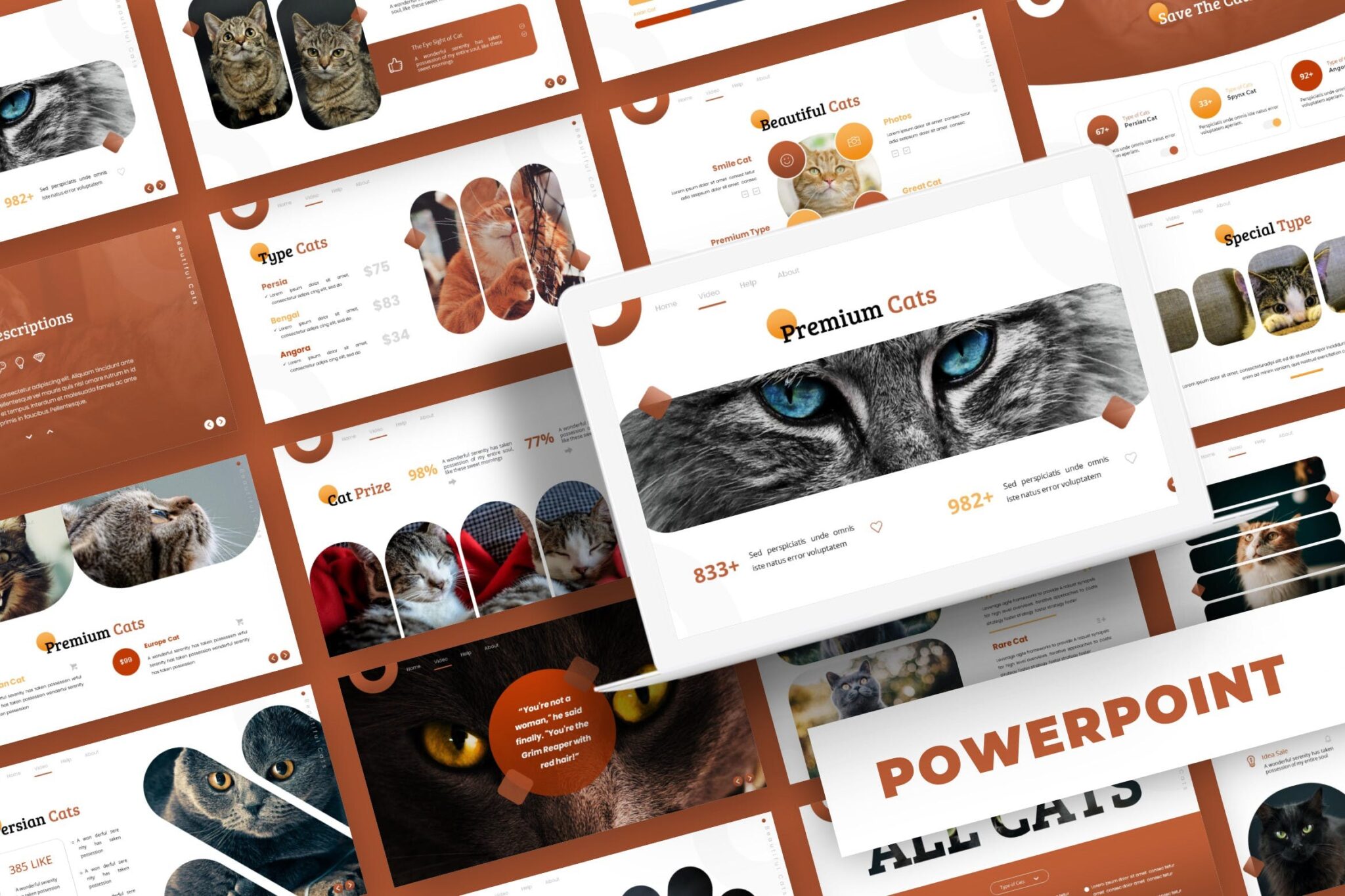 Cute Cat Powerpoint Template – MasterBundles