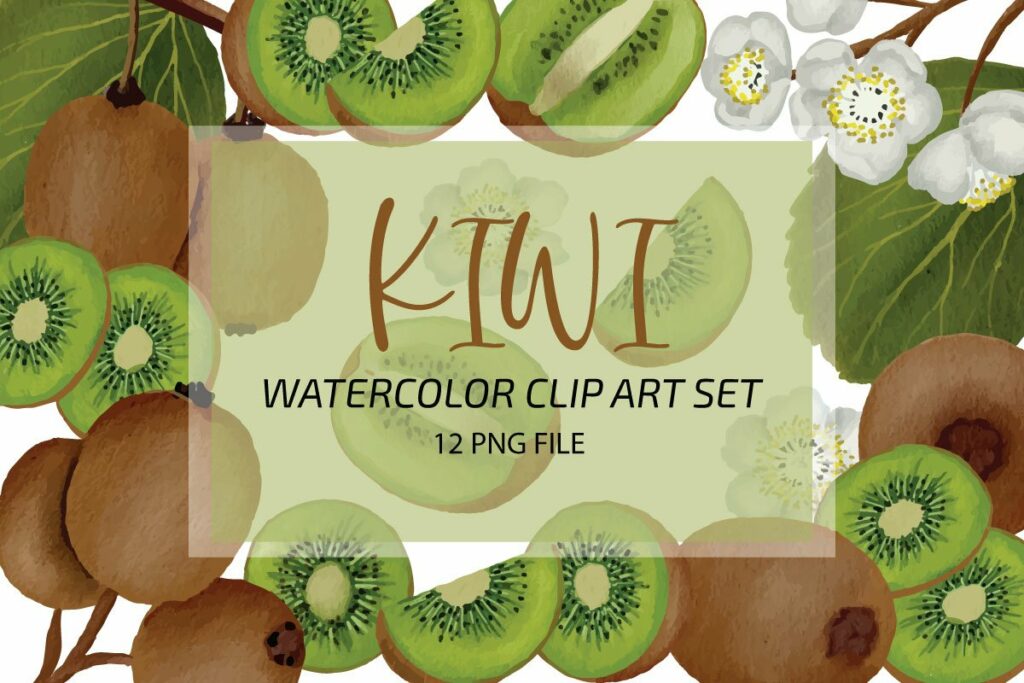 Kiwi Fruit Watercolor Clip Art Set PNG – MasterBundles