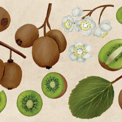 Kiwi Fruit Watercolor Clip Art Set PNG | Master Bundles