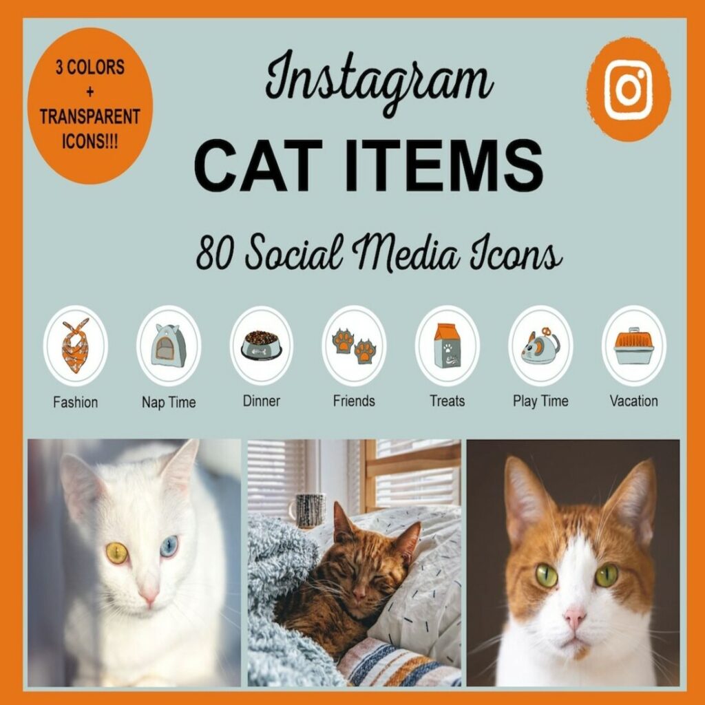 Instagram Cat Items (80 Social Media Icons) - MasterBundles