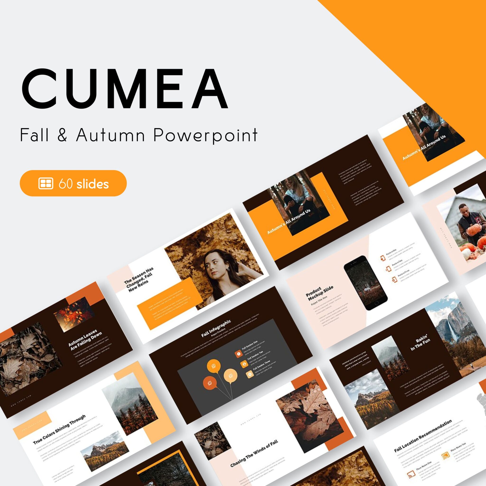 Free Fall Background Images For Powerpoint – MasterBundles