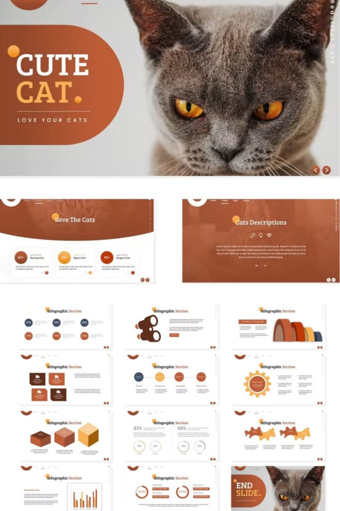 Cute Cat Powerpoint Template – MasterBundles