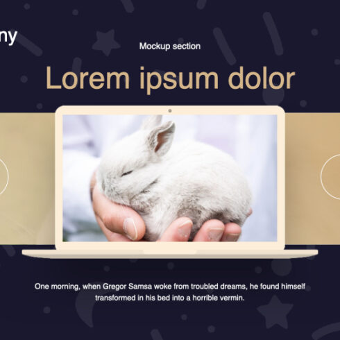 Cute Bunny Presentation Template | MasterBundles