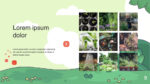 Cute Gardening Google Slides Theme – MasterBundles