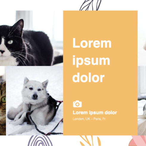 Cute Pets Powerpoint Template – MasterBundles