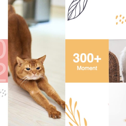 Cute Pets Powerpoint Template | Master Bundles