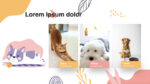 Cute Pets Powerpoint Template – MasterBundles