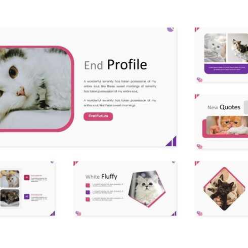 Dream Cat - Powerpoint Template | Master Bundles