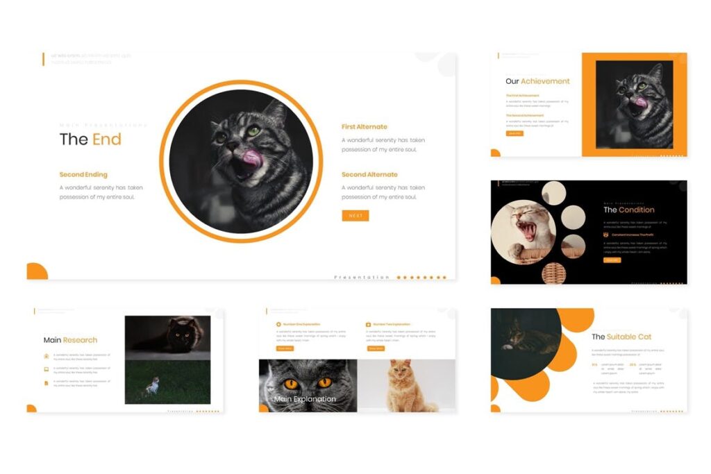 Fluffy Cat Powerpoint Template – MasterBundles