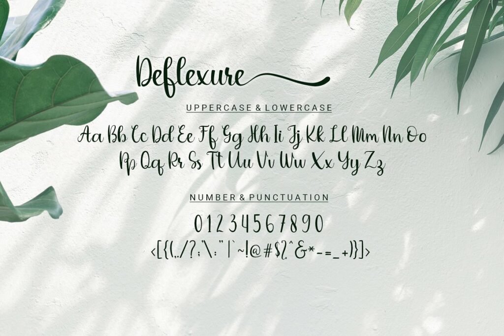 Deflexure - A Luxury Script Font - MasterBundles