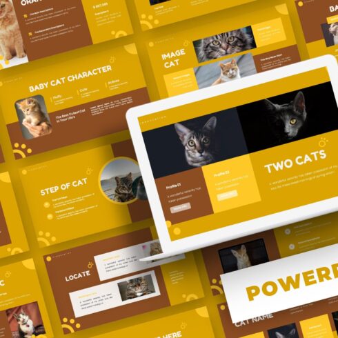Adopt The Cat - Powerpoint Template | MasterBundles