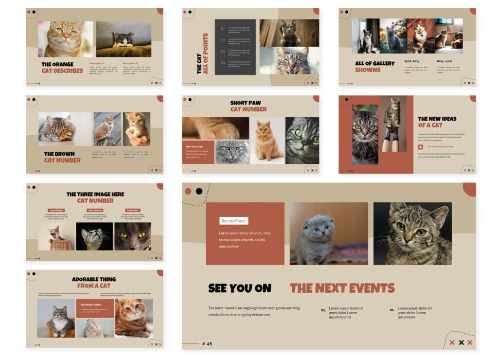 Cat Adopted For Happines | Powerpoint Template – MasterBundles