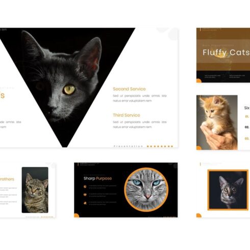 Fluffy Cat Powerpoint Template | Master Bundles