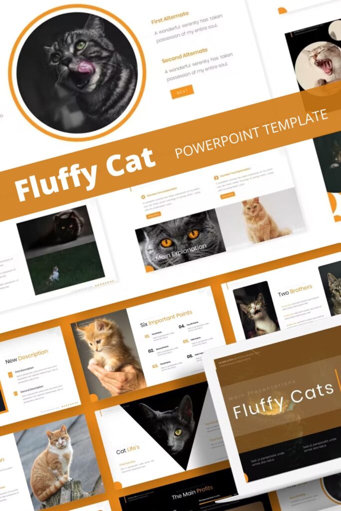 Fluffy Cat Powerpoint Template – MasterBundles