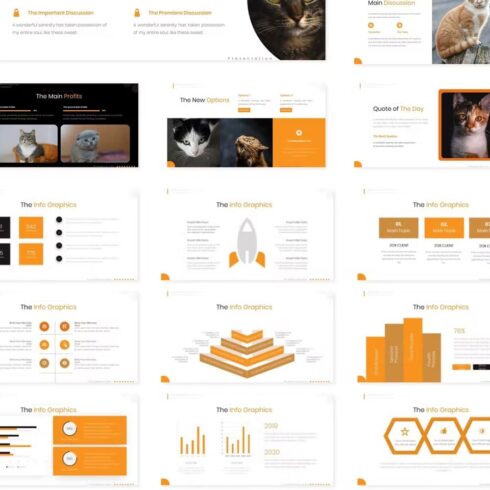 Fluffy Cat Powerpoint Template | Master Bundles