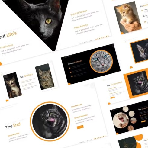 Fluffy Cat Powerpoint Template – MasterBundles