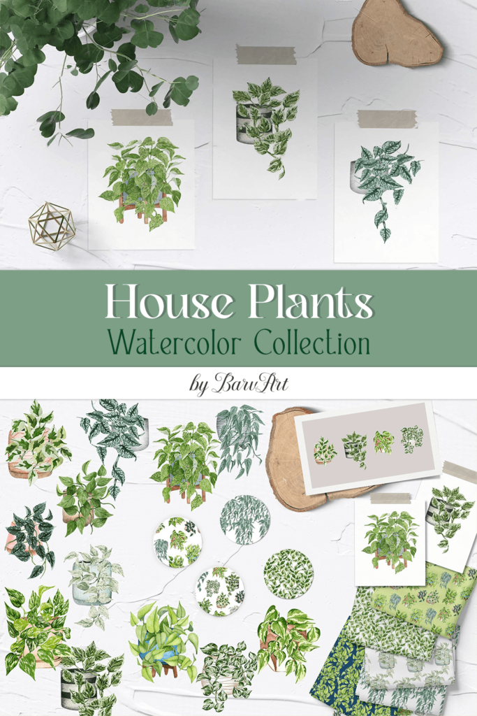 House Plants Watercolor Collection – MasterBundles