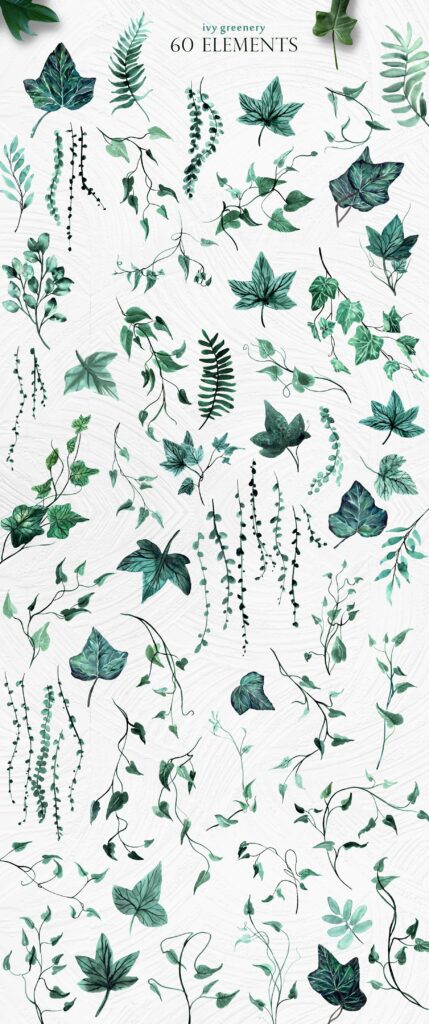 Ivy Greenery Watercolor Collection – MasterBundles
