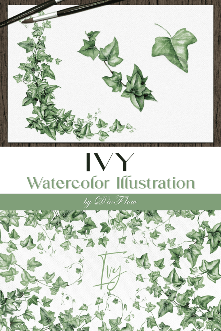 11 Ivy Watercolor Illustrations – MasterBundles