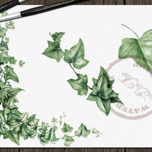 11 Ivy Watercolor Illustrations | Master Bundles