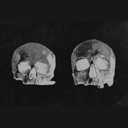 Engraved Skulls Illustrations - MasterBundles