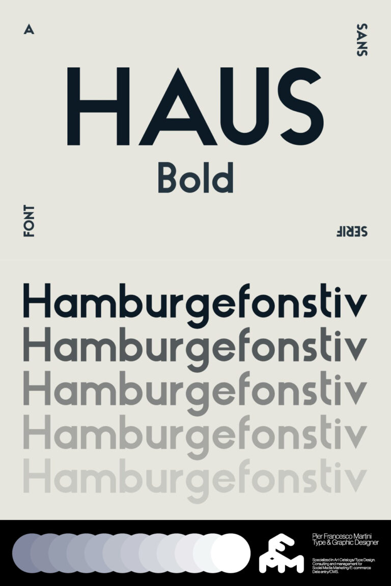 HAUS Sans Bold - MasterBundles