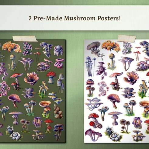 Hand Painted Mushroom Set | Master Bundles