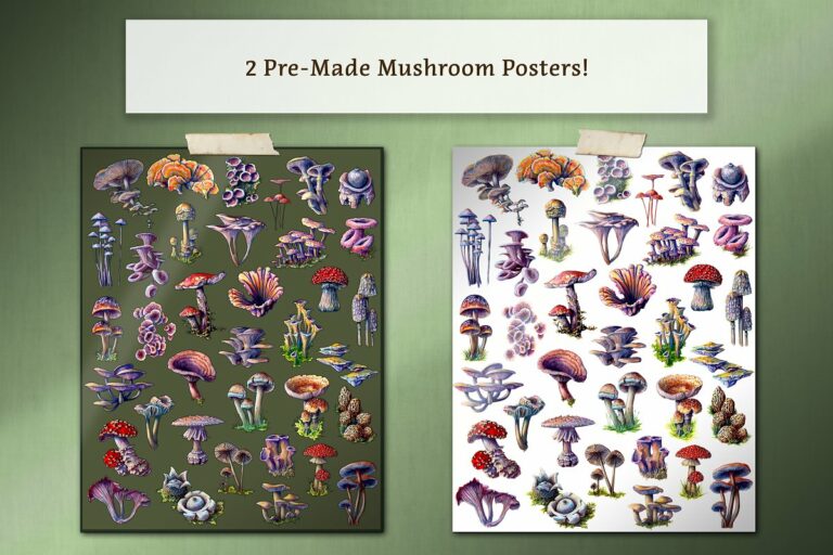 Hand Painted Mushroom Set – MasterBundles