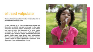 Summer School Powerpoint Template – MasterBundles