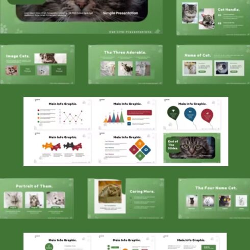 Our Meow Cat - Powerpoint Template | Master Bundles