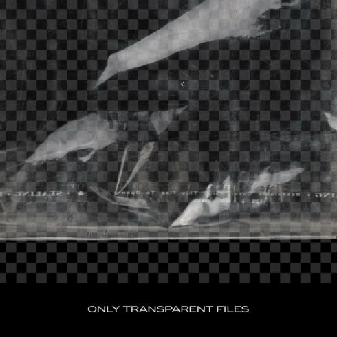 Plastic Bundle Branding Wrap Texture | Master Bundles