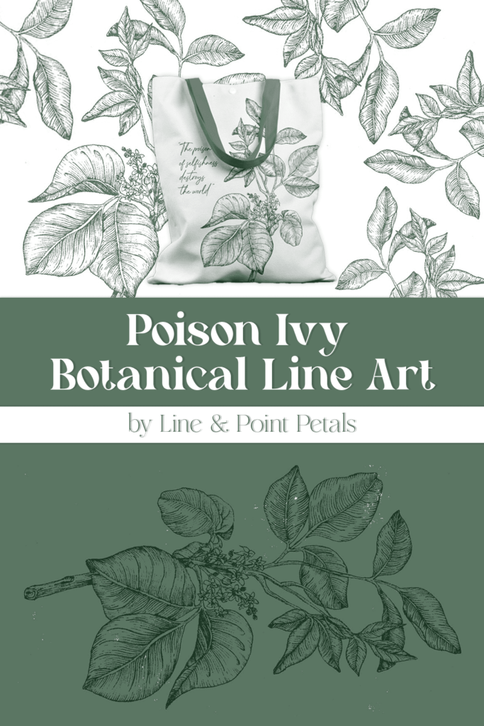 Poison Ivy Botanical Line Art – MasterBundles