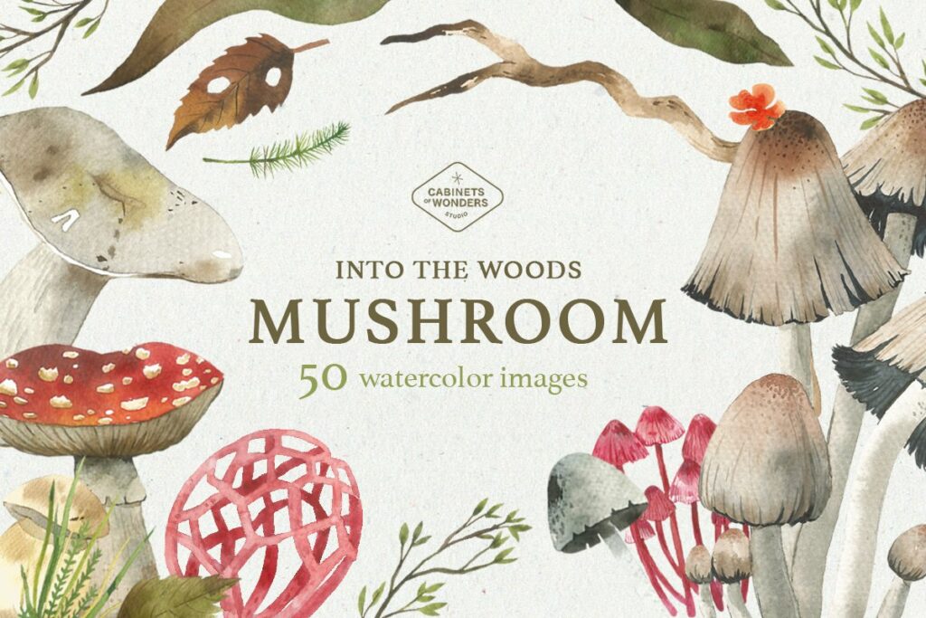 Mushroom Watercolor Clipart Set – MasterBundles