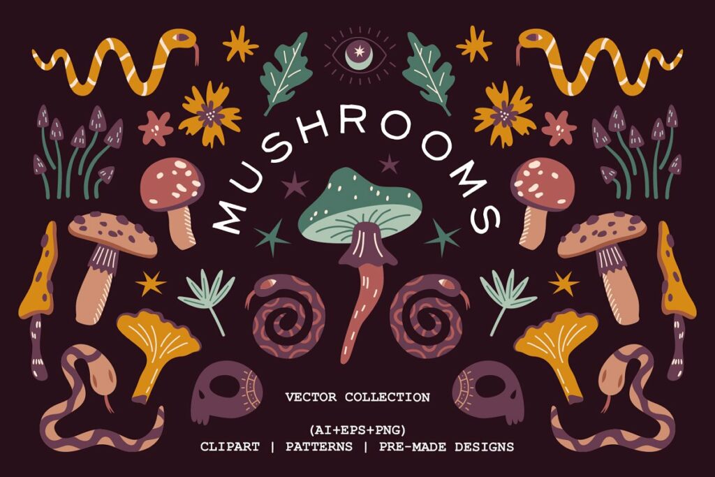 Mushrooms. Vector collection – MasterBundles