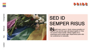 Pride Powerpoint Template – MasterBundles