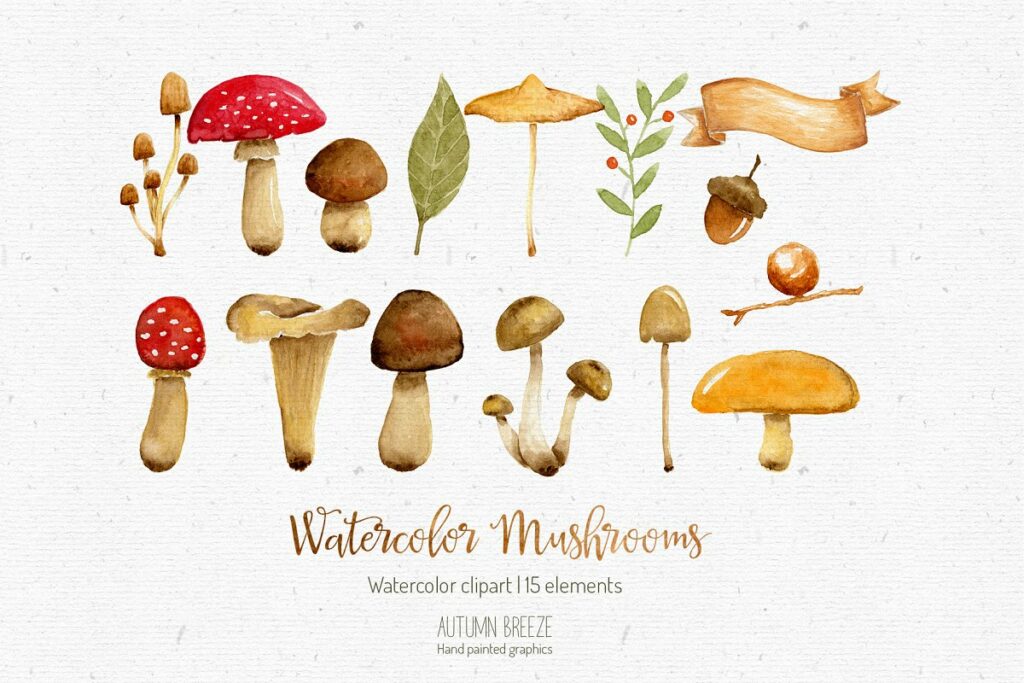 Watercolor Mushroom Clipart PNG – MasterBundles
