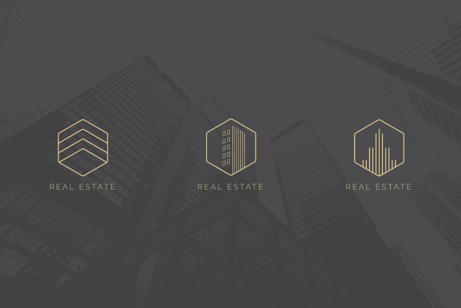 Elegant Real Estate Logo Pack – MasterBundles