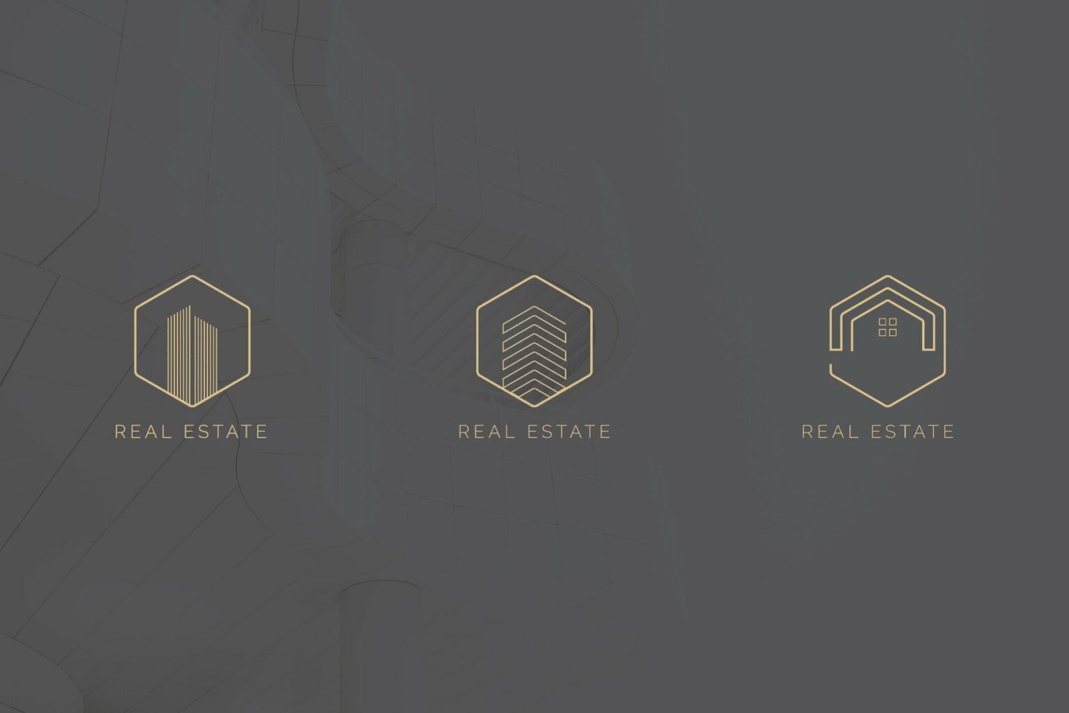 Elegant Real Estate Logo Pack – MasterBundles