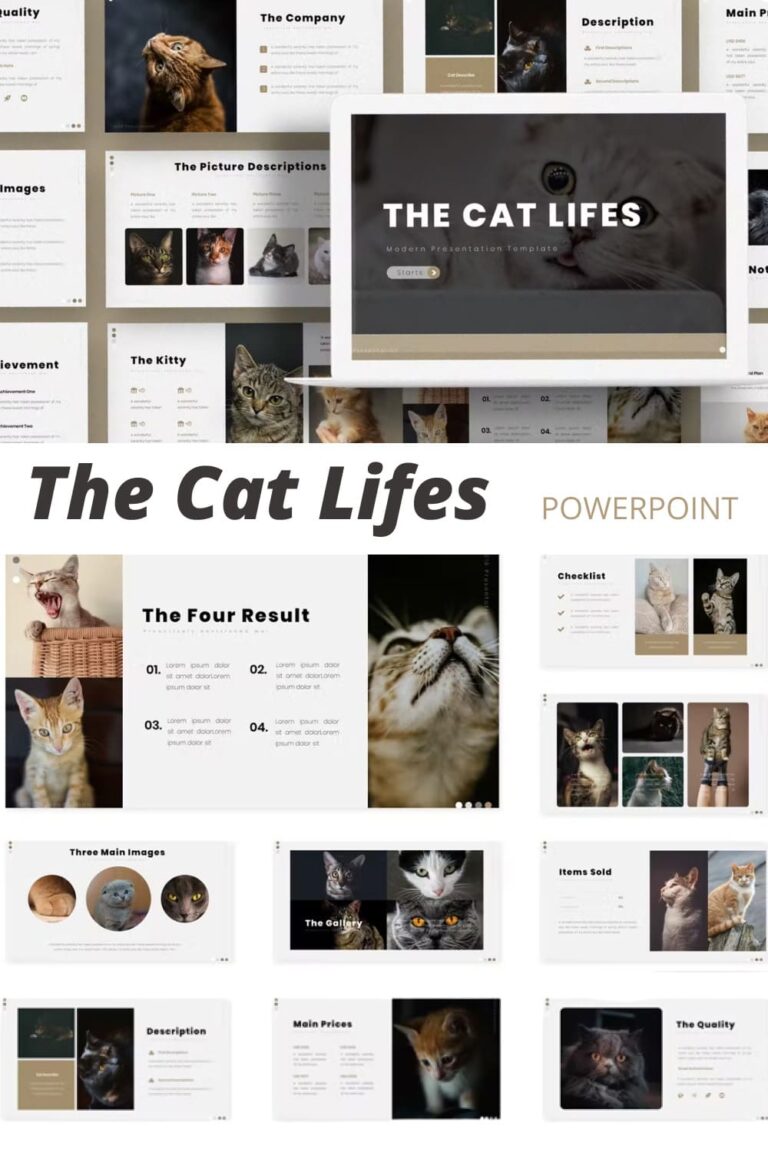 The Cat Lifes - Powerpoint Template – MasterBundles