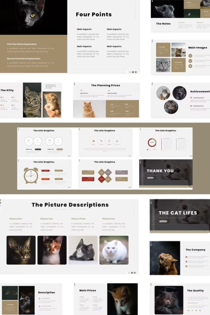 The Cat Lifes - Powerpoint Template – MasterBundles