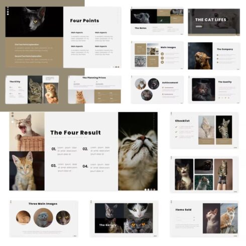 The Cat Lifes - Powerpoint Template – MasterBundles