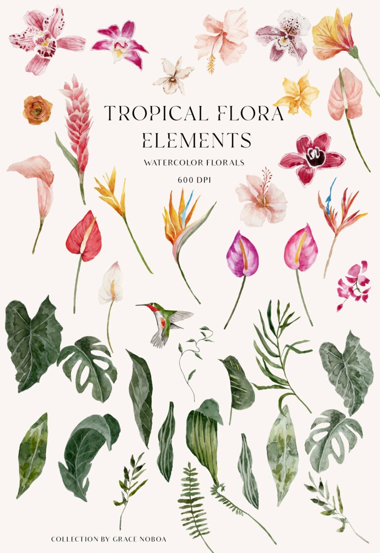 Tropical Summer - Exotic Flora Set – MasterBundles